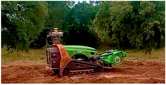 Robots for Forest Maintenance