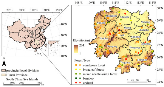 Analysis of Linkage between Long-Term Morphological Spatial Pattern ...