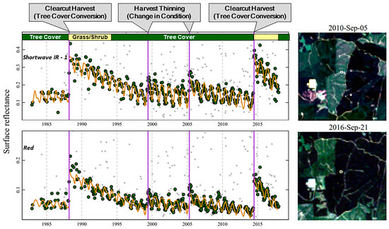 Characterization of Change in Tree Cover State and Condition over the ...
