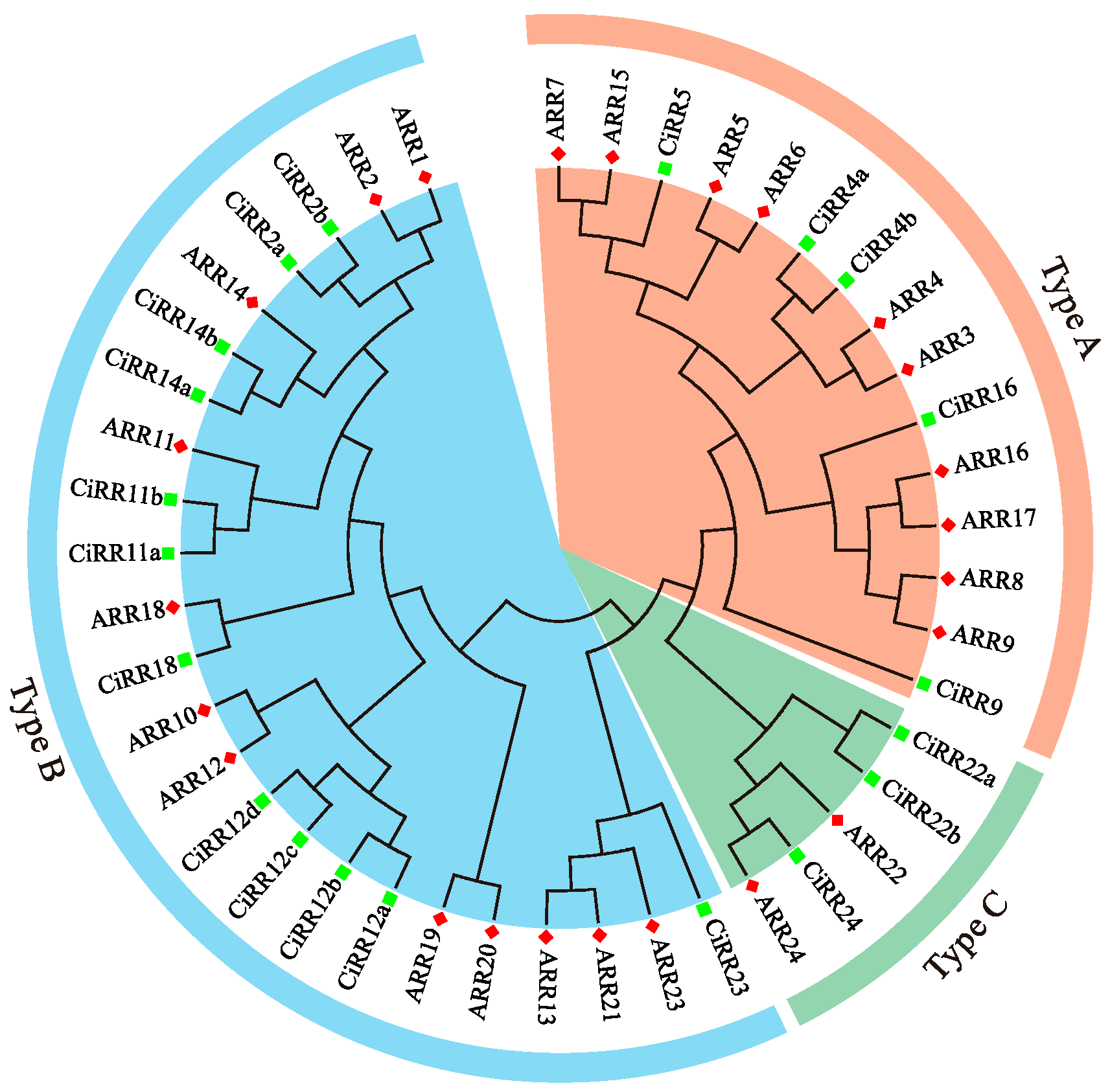Forests | Free Full-Text | Genome-Wide Identification and Expression ...
