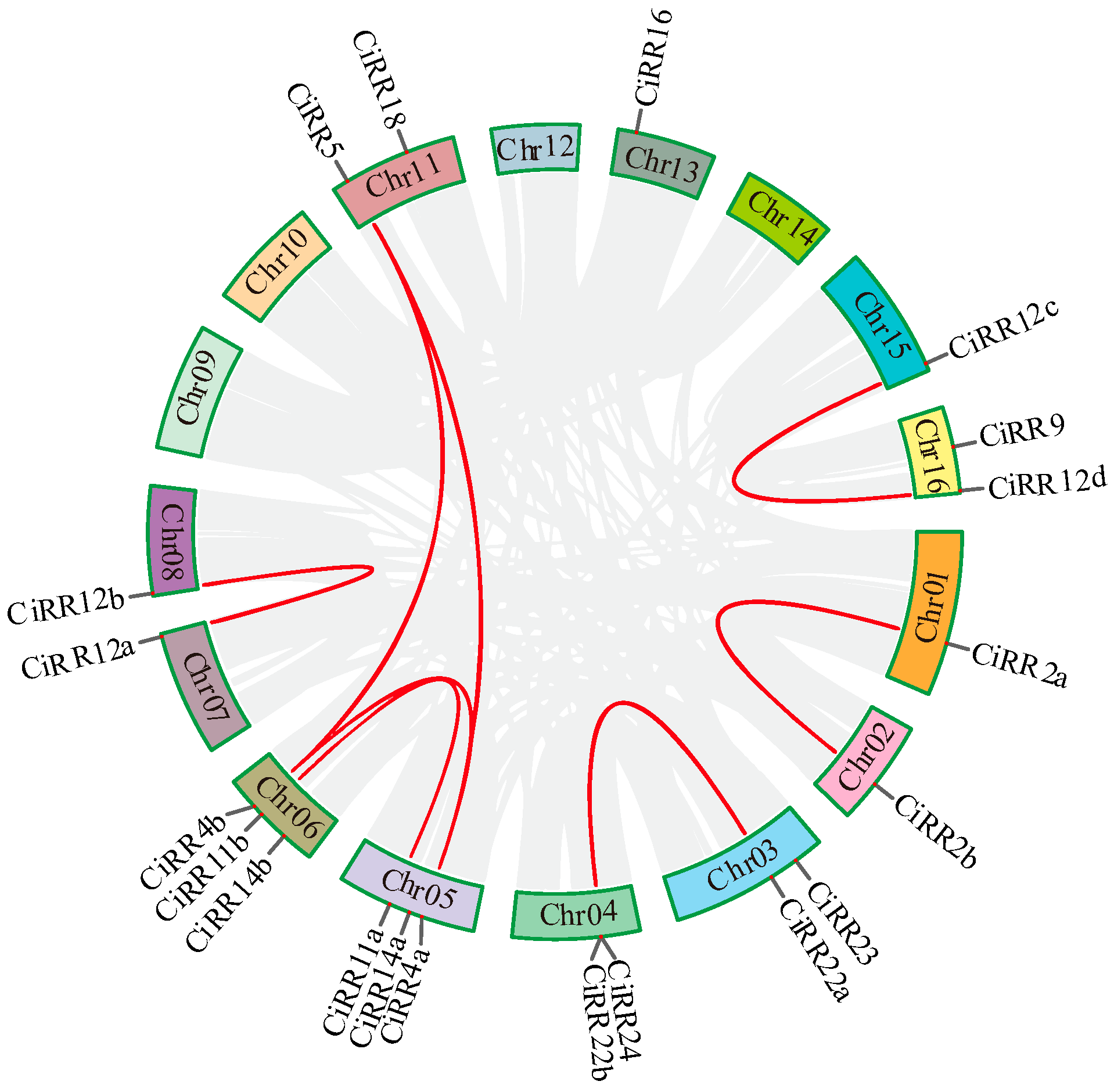 Genome-Wide Identification and Expression Profiling of the Response ...