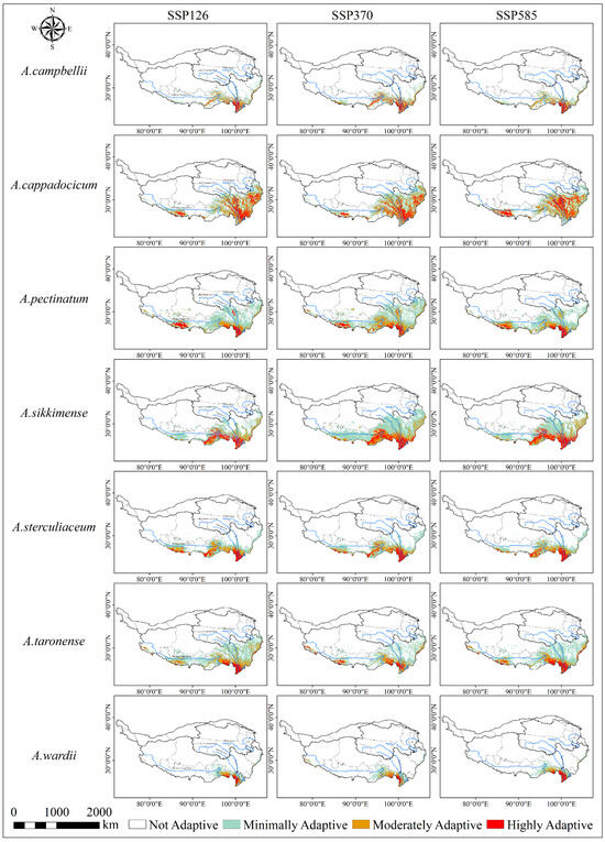 Adaptive Distribution and Vulnerability Assessment of Endangered Maple ...