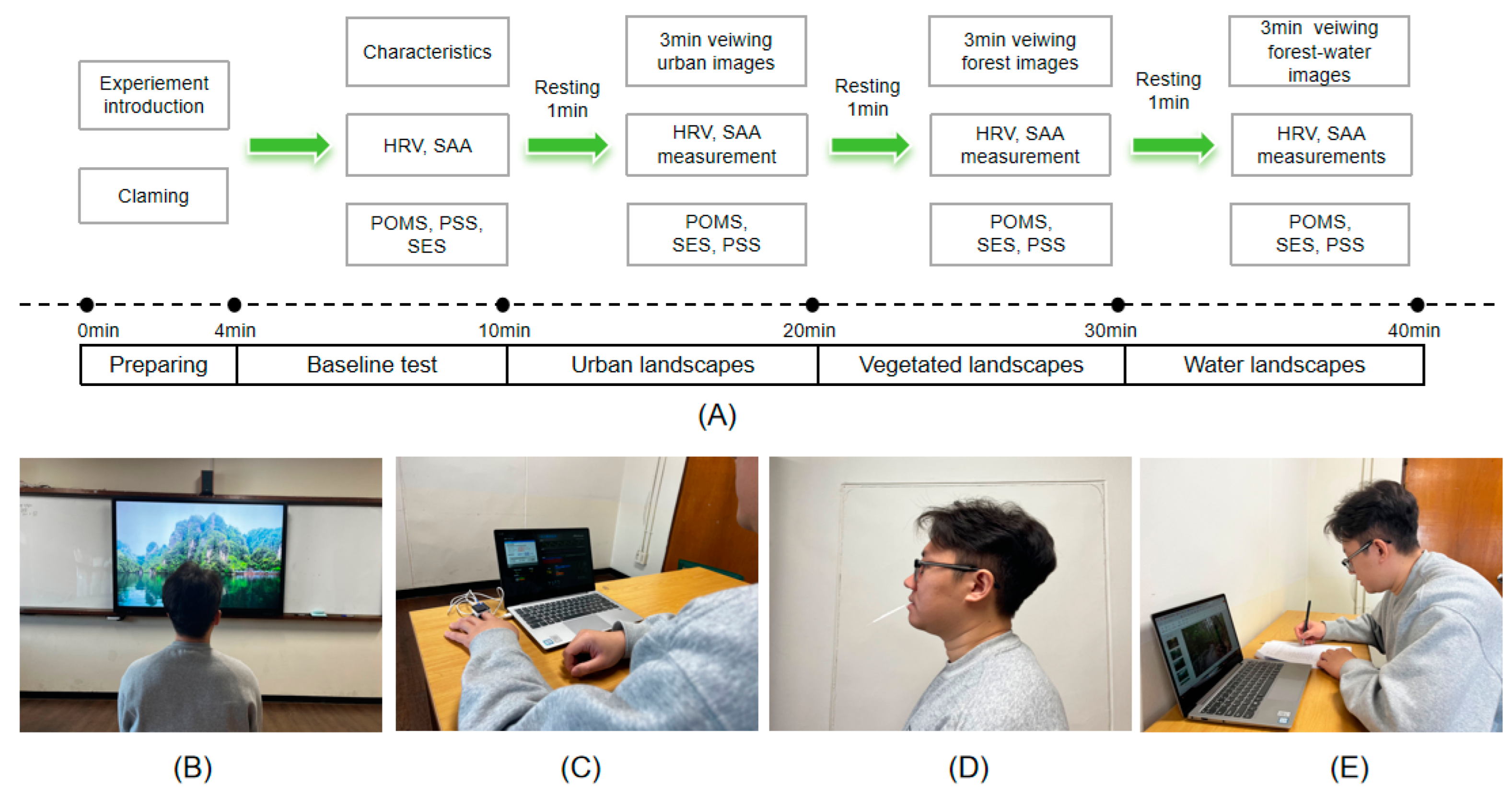Forests | Free Full-Text | The Influence of Different Forest Landscapes ...