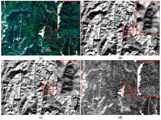 Object-Oriented Convolutional Neural Network for Forest Stand Classification Based on Multi ...