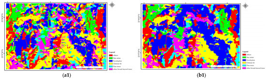 Object-Oriented Convolutional Neural Network for Forest Stand Classification Based on Multi ...