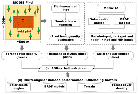 Influence of BRDF Models and Solar Zenith Angles on Forest Above-Ground Biomass Derived from ...
