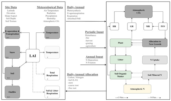 Improving the Simulation Accuracy of the Net Ecosystem Productivity of ...