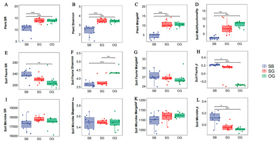 Forests | Free Full-Text | Multi-Trophic Species Diversity Contributes ...