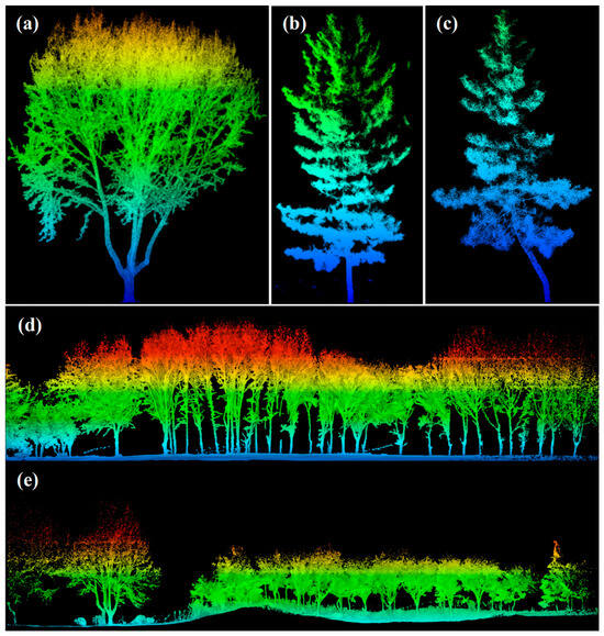 Assessing the Performance of Handheld Laser Scanning for Individual Tree Mapping in an Urban Area