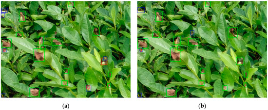 A Small Target Tea Leaf Disease Detection Model Combined with Transfer Learning