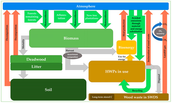 Projection of the Carbon Balance of the Hungarian Forestry and Wood ...