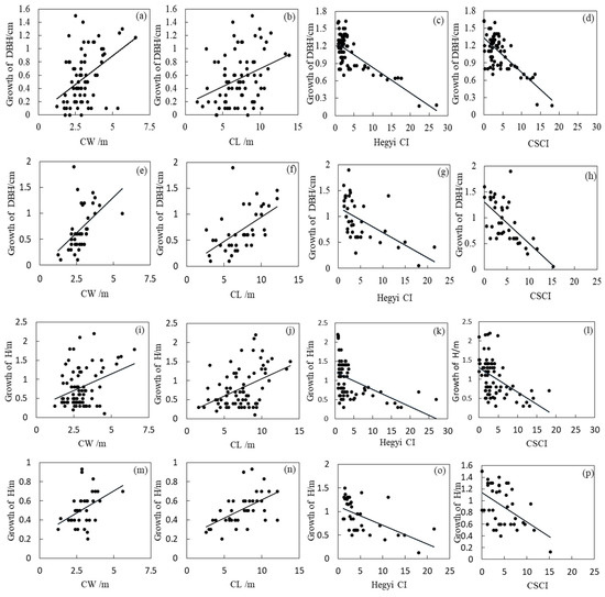 Assessing the Relationship between Tree Growth, Crown Size, and ...