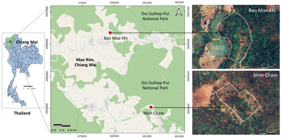 Selecting Suitable Tree Species for Direct Seeding to Restore Forest ...