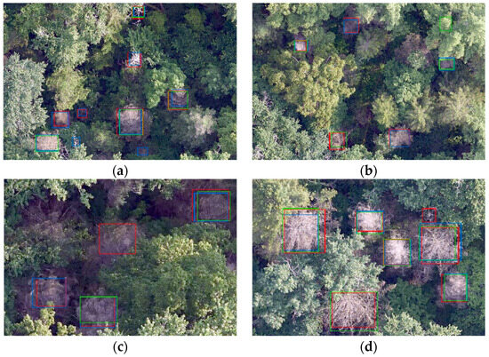 Forests | Free Full-Text | Detection of Pine-Wilt-Disease-Affected Trees Based on Improved YOLO v7