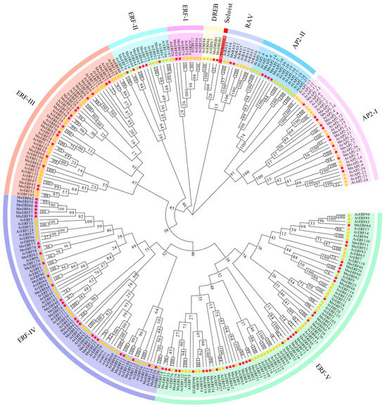 Genome-Wide Identification and Expression of the AP2/ERF Gene Family in ...