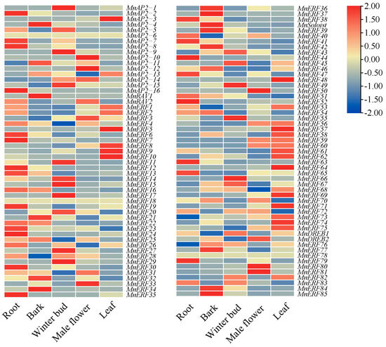 Genome-Wide Identification and Expression of the AP2/ERF Gene Family in ...