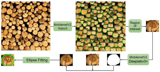 Forests | Free Full-Text | A Deep Learning Method for Log Diameter ...