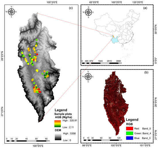 Comparison of QRNN and QRF Models in Forest Biomass Estimation Based on ...