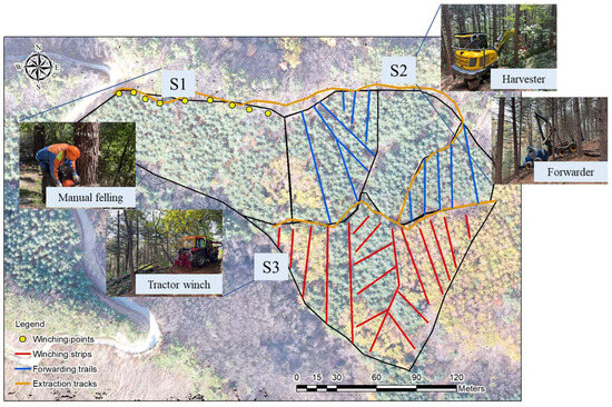 Assessing the Residual Stand Damage after Thinning with Different ...