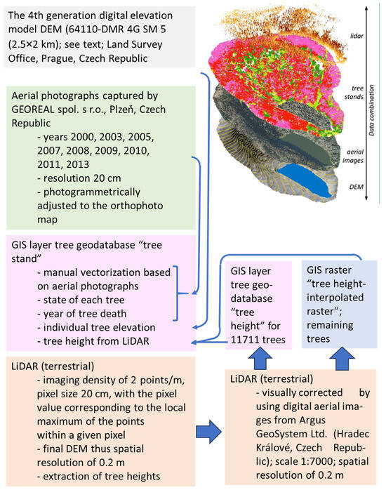 The Significance of Tree Height as a Predictor of Tree Mortality during ...