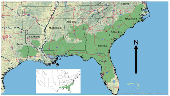 Currently Available Site Index Equations That Use On-Site Tree ...