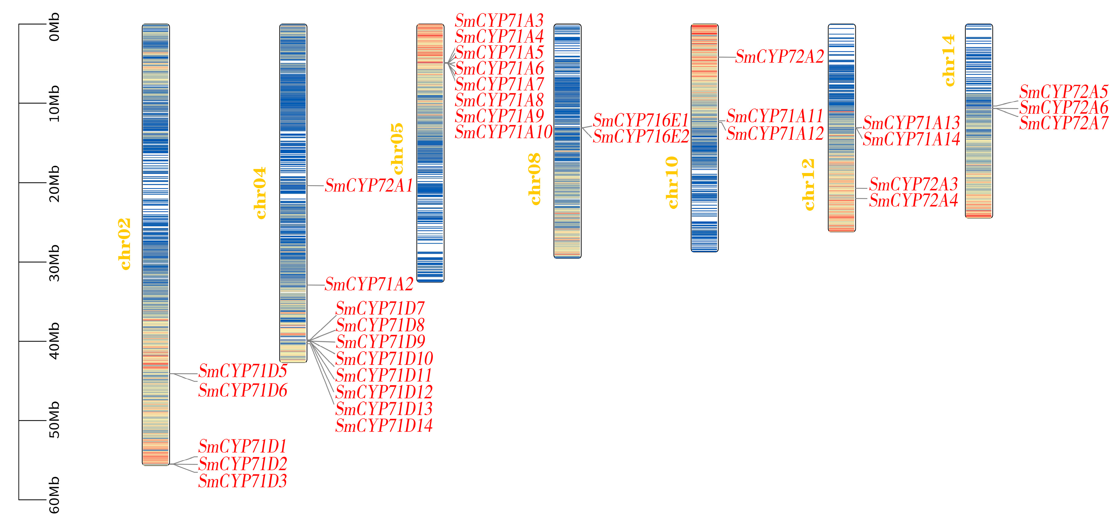 Forests | Free Full-Text | Genome-Wide Identification, Characterization, and Expression Analysis ...