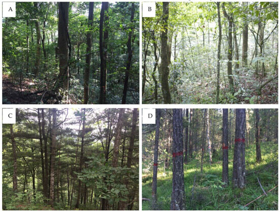 The Relationship between Trait-Based Functional Niche Hypervolume and ...