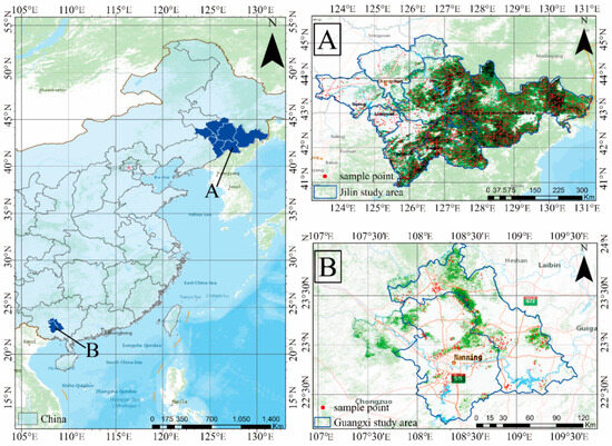 Improving Forest Above-Ground Biomass Estimation by Integrating ...