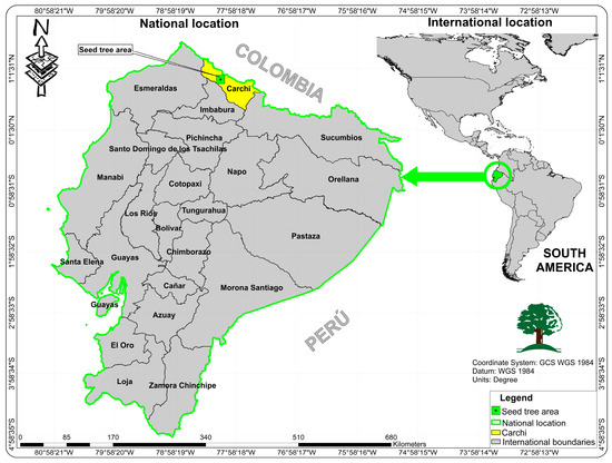 Seed Propagation of Carapa amorphocarpa W. Palacios Using Various ...