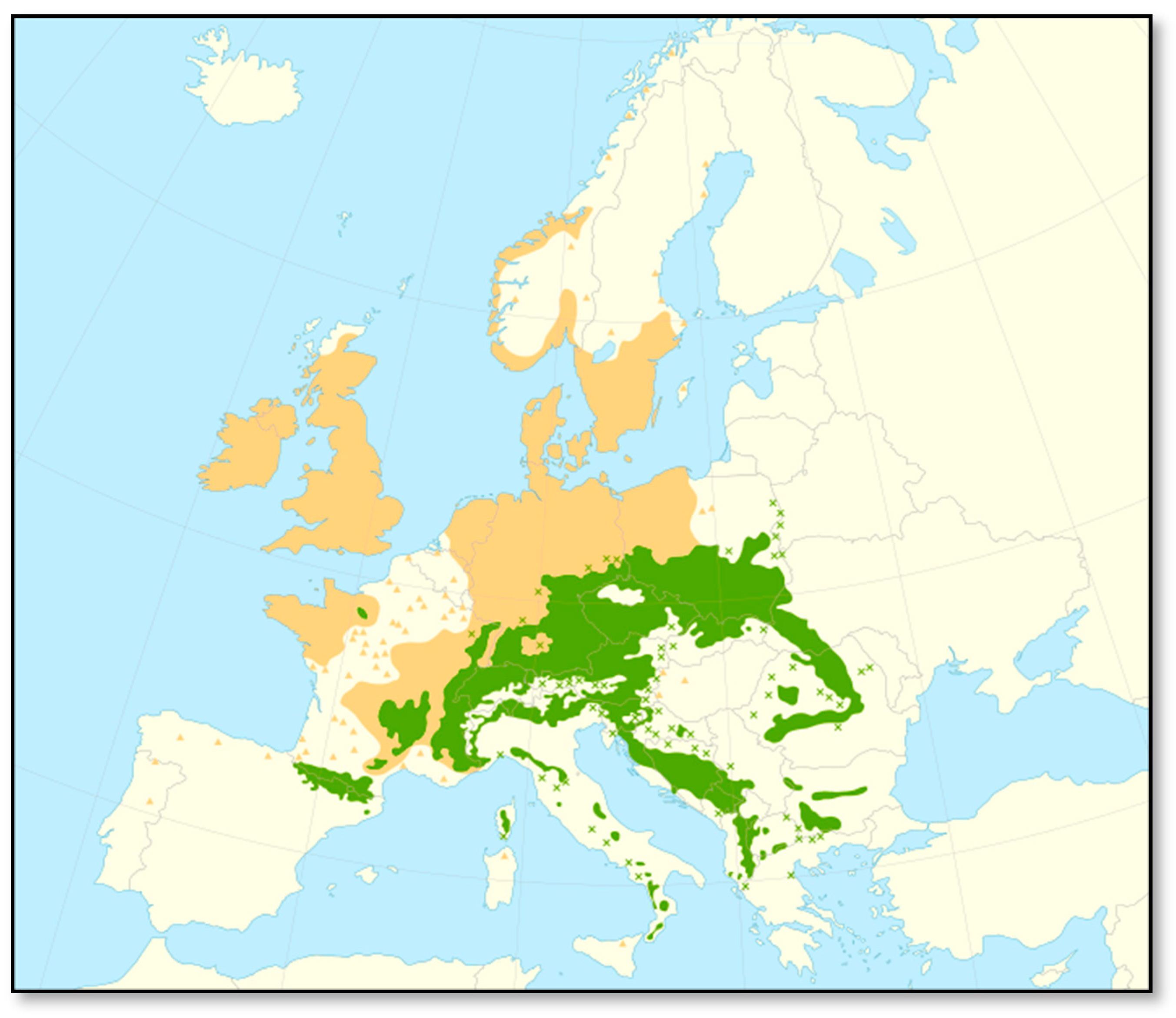 Silver Fir (Abies alba Mill.): Review of Ecological Insights, Forest ...