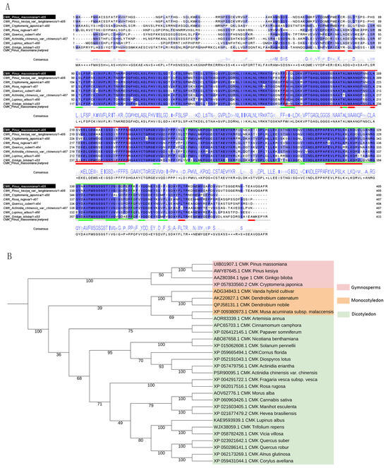 Characterization and Functional Analysis of PmCMK: A Gene Involved in ...