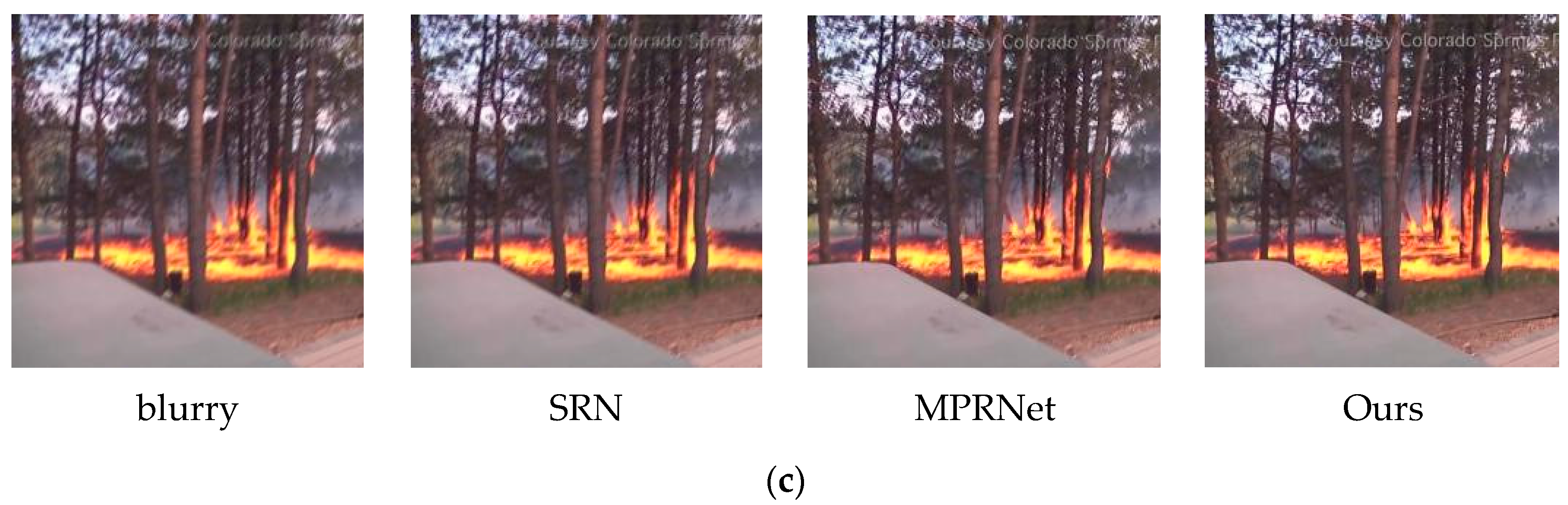 Forest Fire Image Deblurring Based on Spatial–Frequency Domain Fusion