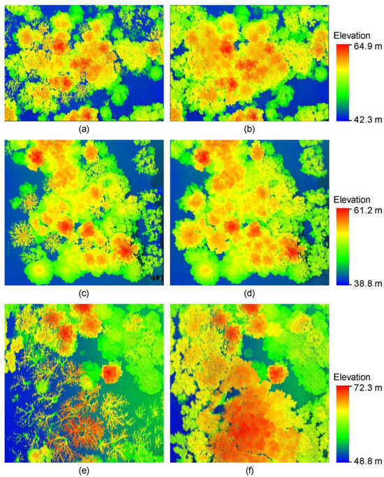 Forests Free Full Text A Hybrid Method For Individual Tree Detection In Broadleaf Forests