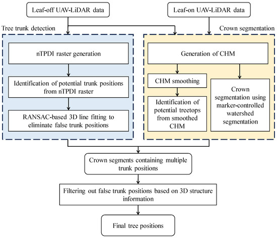 Forests Free Full Text A Hybrid Method For Individual Tree Detection In Broadleaf Forests