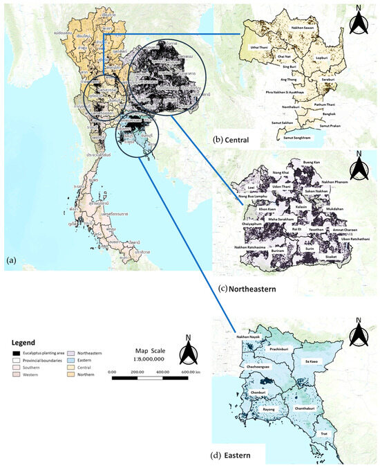Forests | Free Full-Text | Analyzing the Eucalyptus Timber Value Chain ...