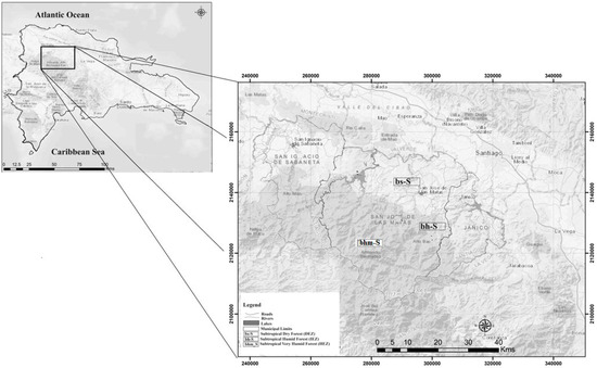 Evaluation of Different Modeling Approaches for Estimating Total Bole ...