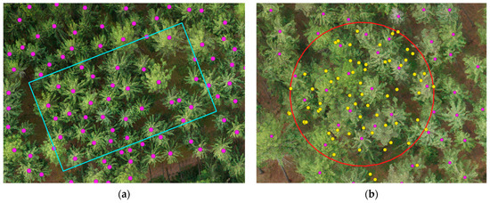 A Tree Segmentation Algorithm for Airborne Light Detection and Ranging ...