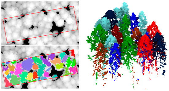 A Tree Segmentation Algorithm For Airborne Light Detection And Ranging Data Based On Graph