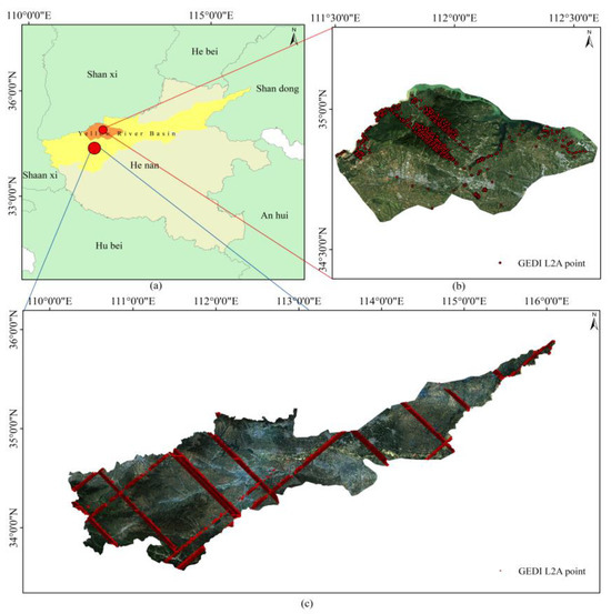 Forest Canopy Height Retrieval Model Based on a Dual Attention Mechanism Deep Network