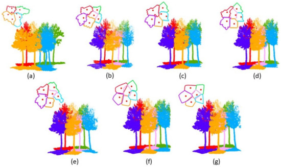 Forests | Free Full-Text | Individual Tree Identification and ...