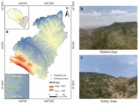 Changes in Soil Hydrological Retention Properties and Controlling ...
