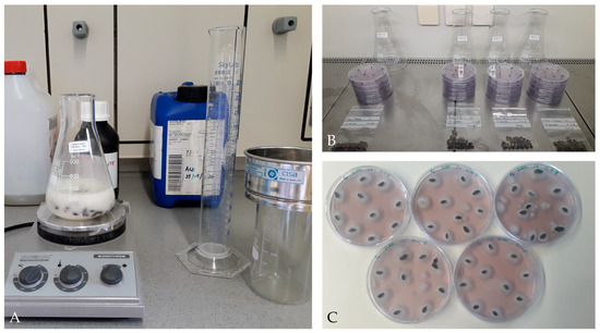 From Lab to Nursery: Novel Approaches of Seed Disinfection for Managing ...