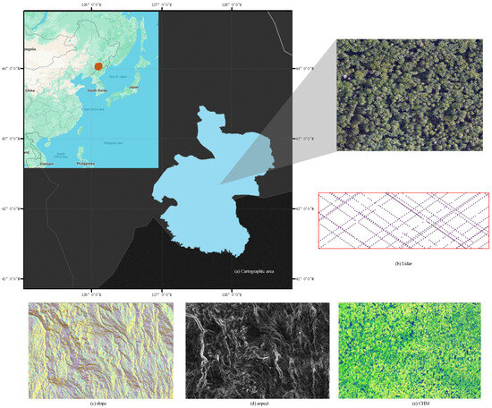 Application of Random Forest Method Based on Sensitivity Parameter Analysis in Height Inversion ...