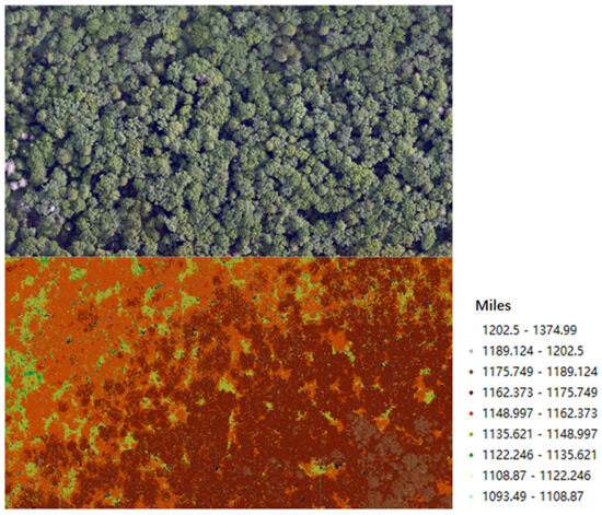 Application of Random Forest Method Based on Sensitivity Parameter Analysis in Height Inversion ...