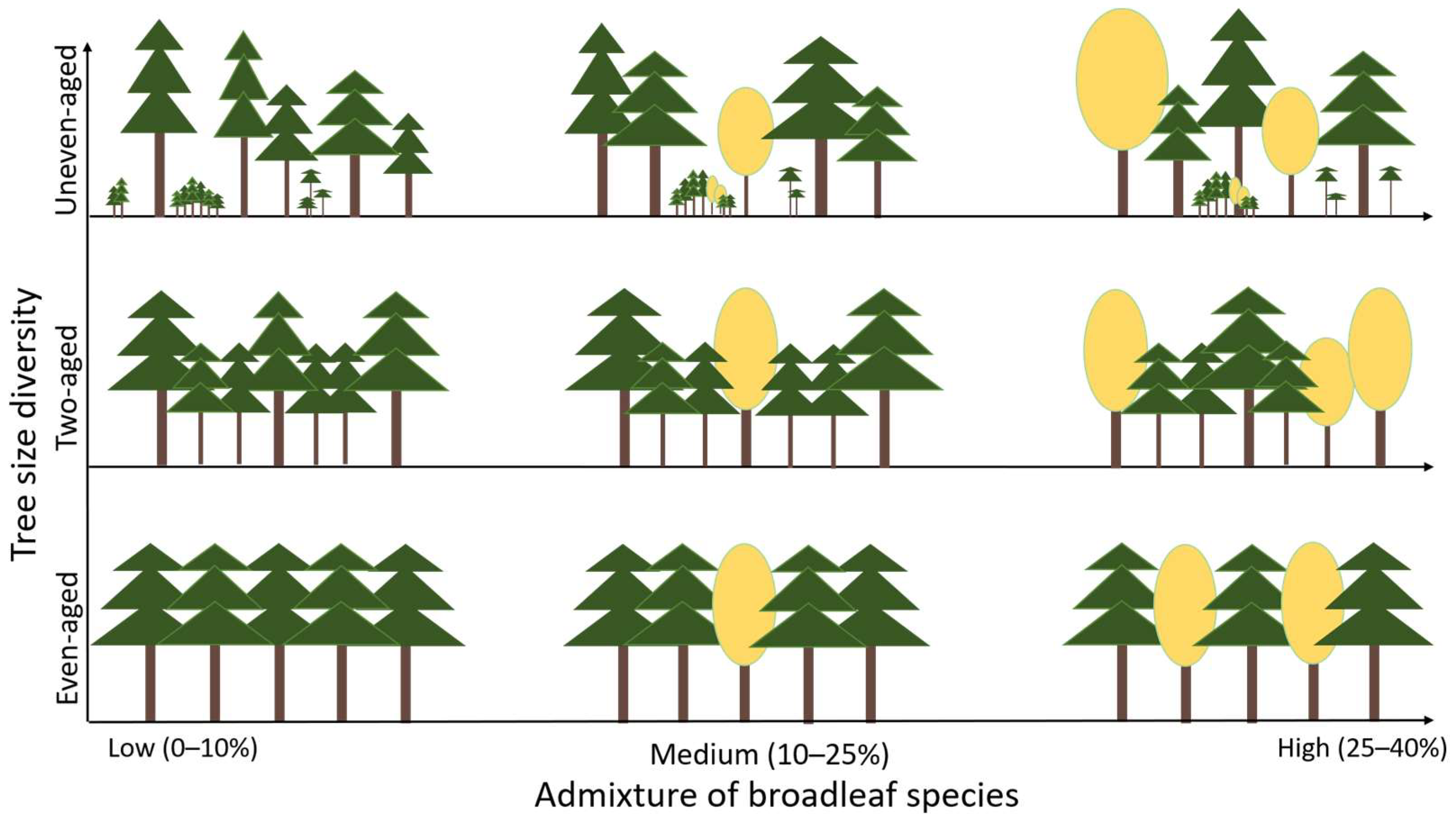 Contrasting Regeneration Patterns in Abies alba-Dominated Stands ...