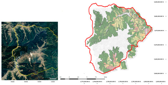 Forests | Free Full-Text | Composition of Natural Forest Types—Long ...