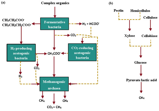 Fluxes, Mechanisms, Influencing Factors, and Bibliometric Analysis of ...