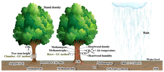 Fluxes, Mechanisms, Influencing Factors, and Bibliometric Analysis of ...