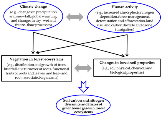 Responses of Soil Carbon and Nitrogen Dynamics and GHG Fluxes in Forest ...
