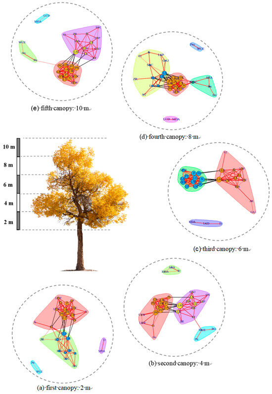 Leaf Trait Variations and Ecological Adaptation Mechanisms of Populus ...